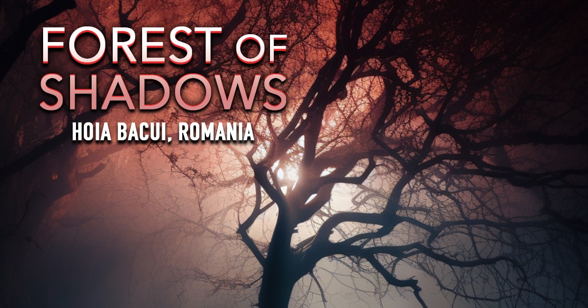 Episode 161 - Forest of Shadows: Hoia Baciu